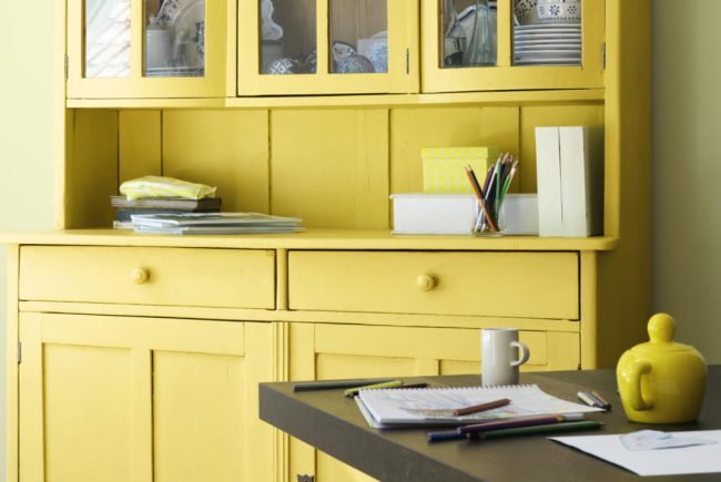 Amarillo albero, el color de la primavera