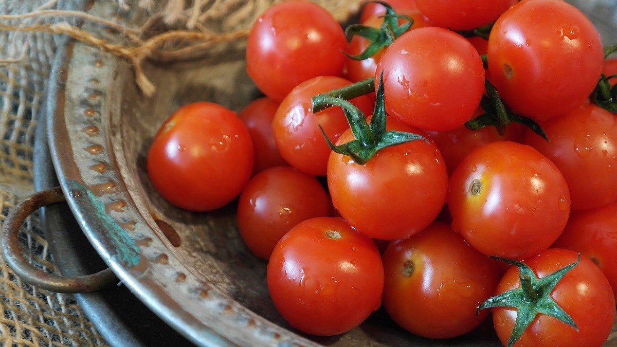 Beneficios del jitomate o tomate rojo Digestivo laxante y desinflamatorio