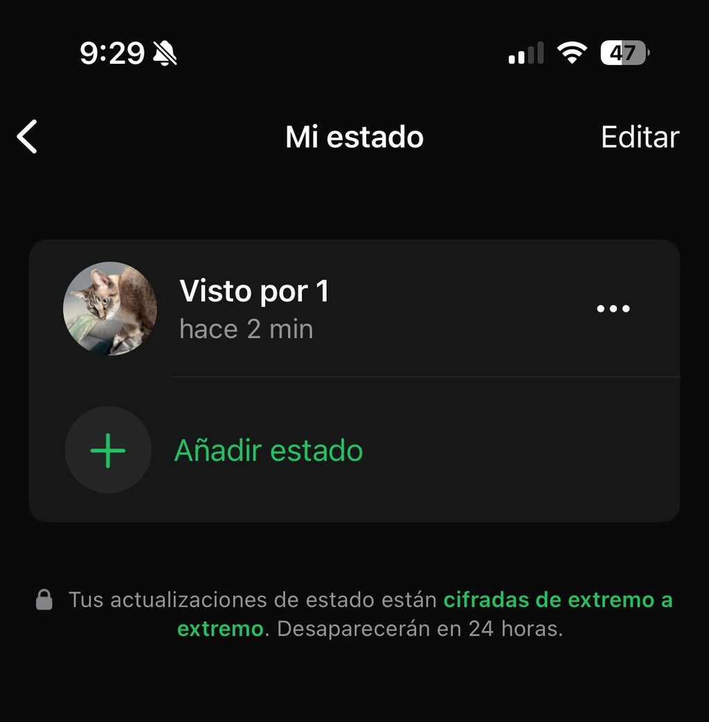 Cómo saber quién ha visto tus estados de WhatsApp