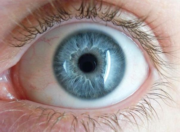 Todas las personas con ojos azules tienen un ascendiente común