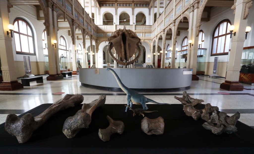 Todo lo que sabemos del Arackar licanantay, el nuevo dinosaurio ...