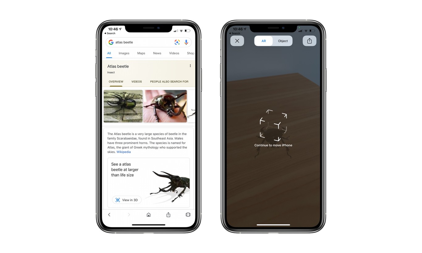 Google añade a los resultados de búsqueda insectos en 3D y realidad ...