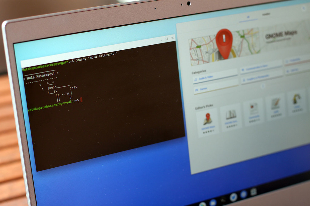 Así es usar Linux en Chrome OS: integración total para una plataforma ...