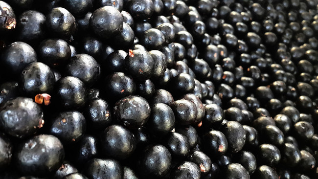 El Açaí o Acai. Propiedades y usos en la cocina de este superalimento