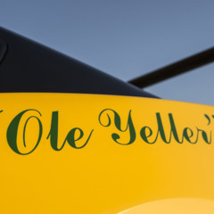 Posiblemente este es el Ford Mustang más feo que hayas visto, pero ...