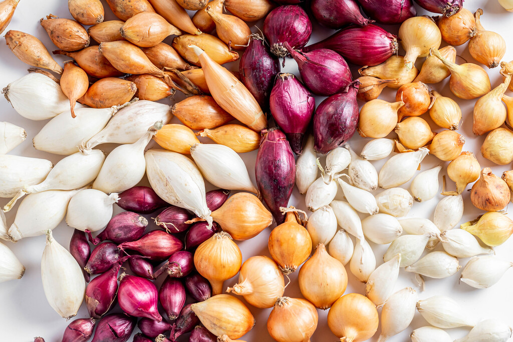 Cómo pochar correctamente una cebolla: tiempos y cortes perfectos para ...