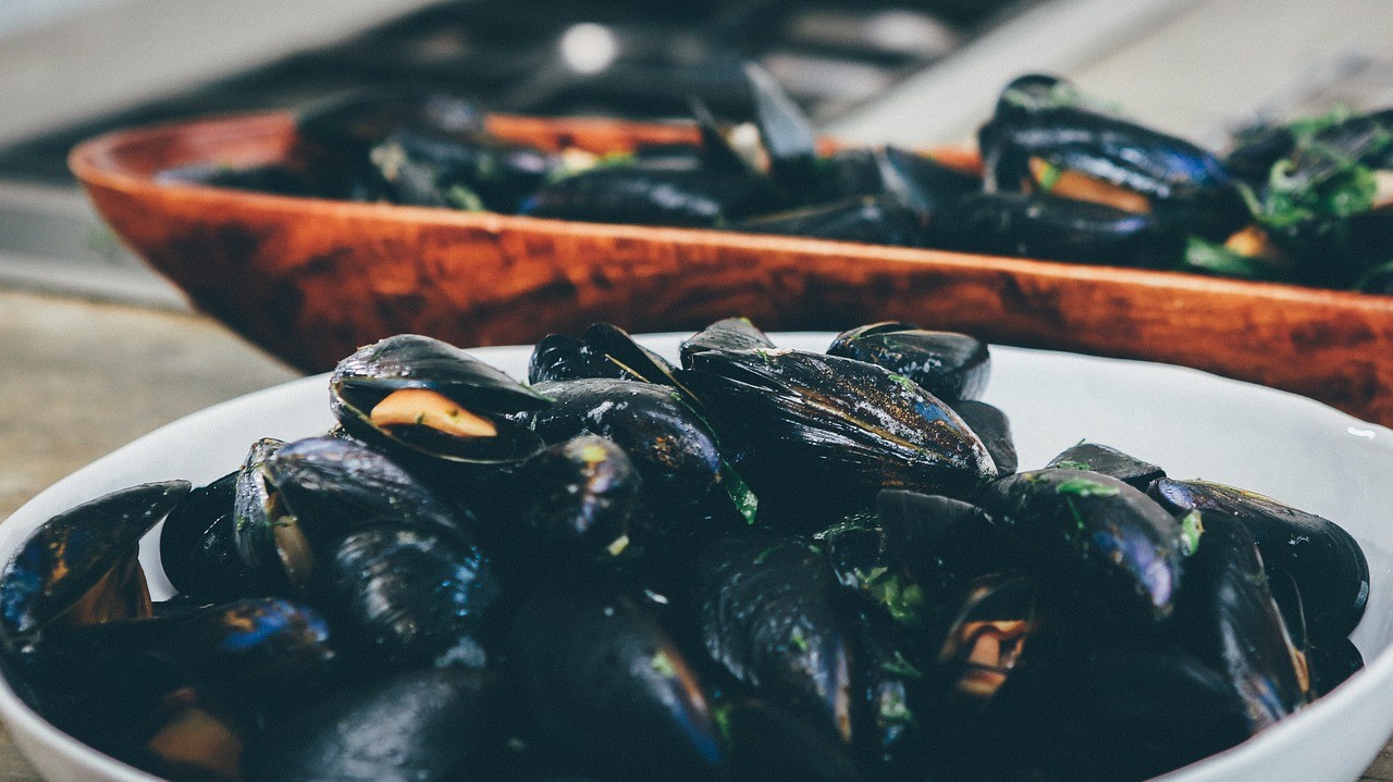 Mejillones: propiedades, beneficios y su uso en la cocina