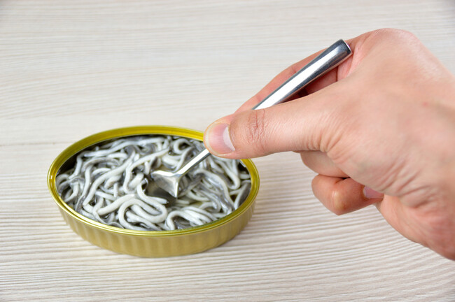 El mejor momento de la angula, un pescado de temporada tan exclusivo ...