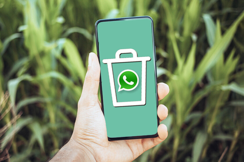 Hacer limpieza de contactos en WhatsApp es sencillo y te ayudará a ...