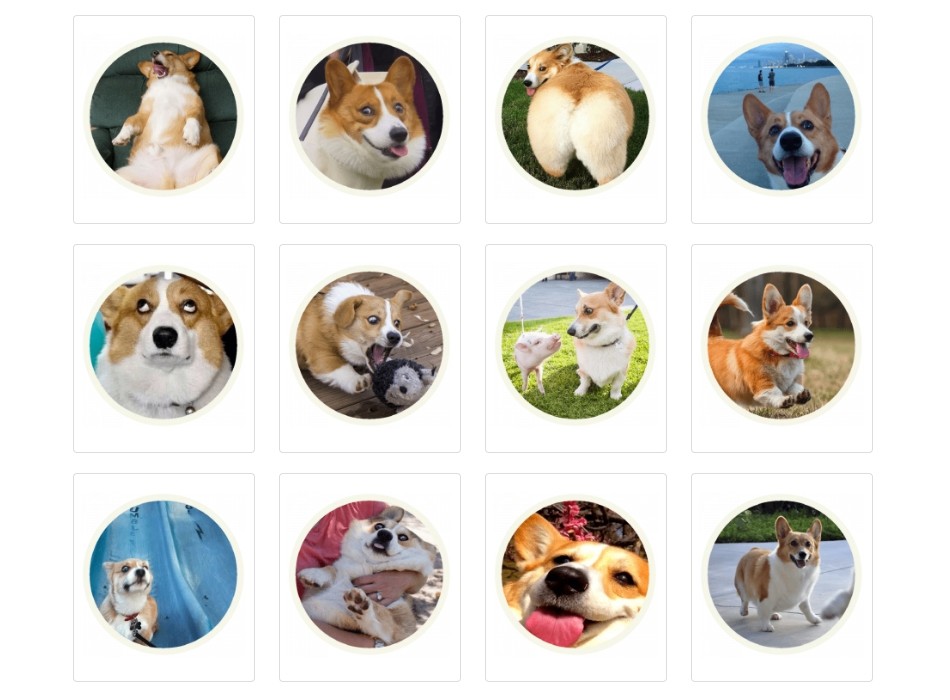 202 packs de stickers gratis para Telegram y 11 páginas donde descargarlos