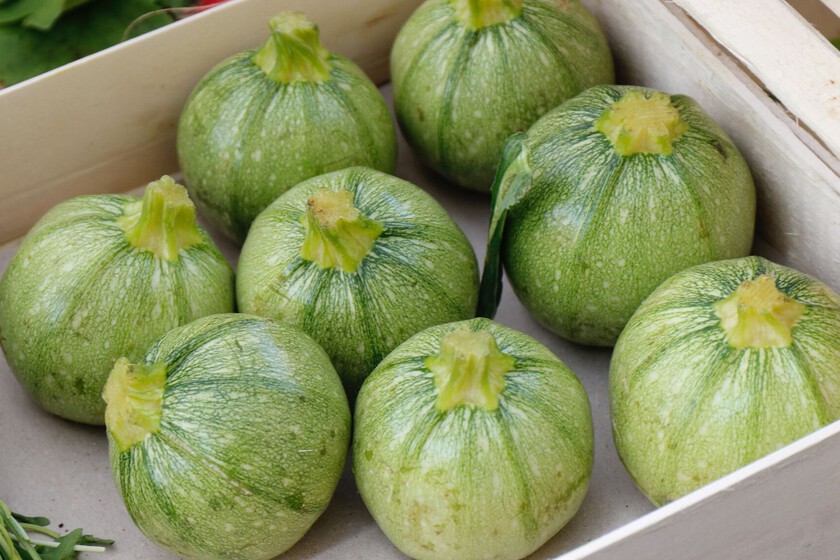 Tips expertos para saber cómo elegir las mejores calabacitas en el mercado