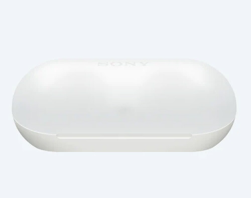 Sony WF-C500, ficha técnica de características y precio