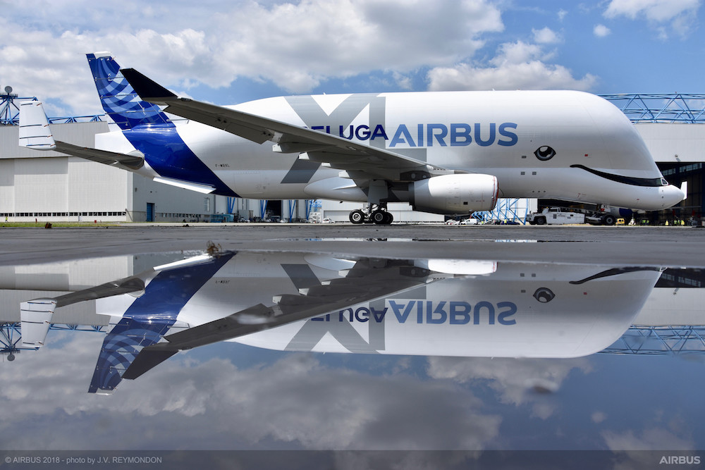 Una ballena voladora: así fue el primer vuelo del Airbus BelugaXL, uno ...