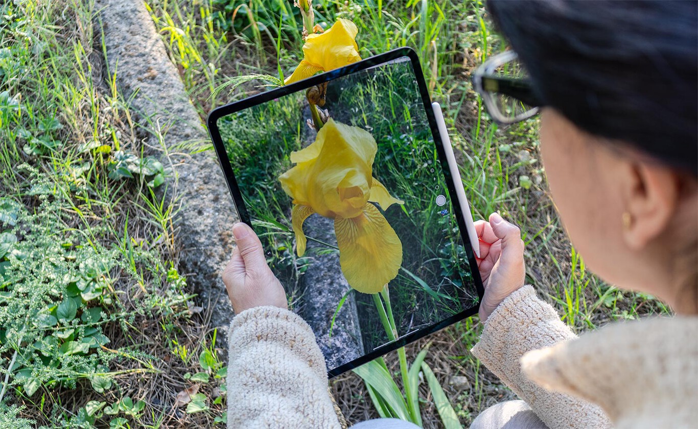 Apple iPad Pro (2024), análisis: una bestia insuperable en rendimiento ...