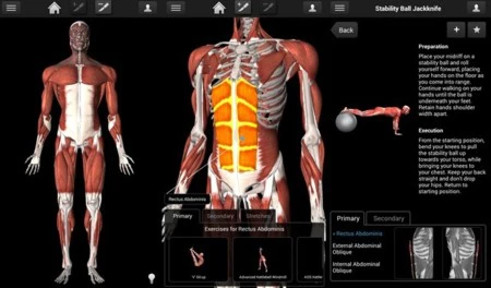 iMuscle 2, una app llena de ejercicios para tu entrenamiento