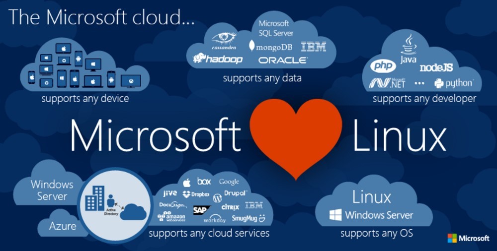 Microsoft y Linux: del odio al amor