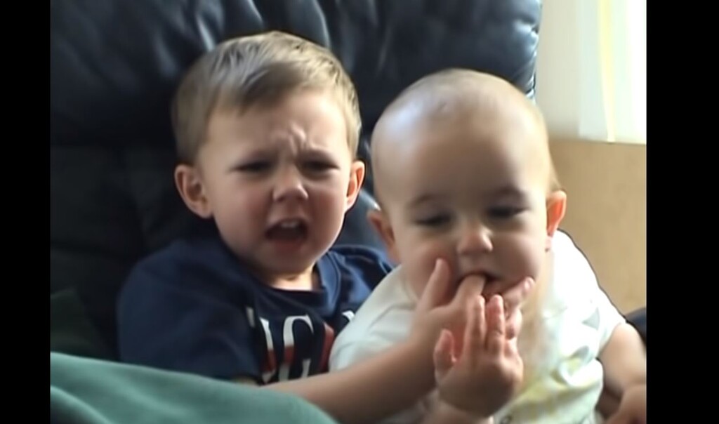 El video viral 'Charlie Bit My Finger' se subastó como NFT por 15 ...