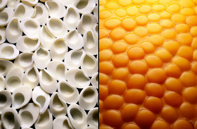 Sorprendentes fotografías de comida