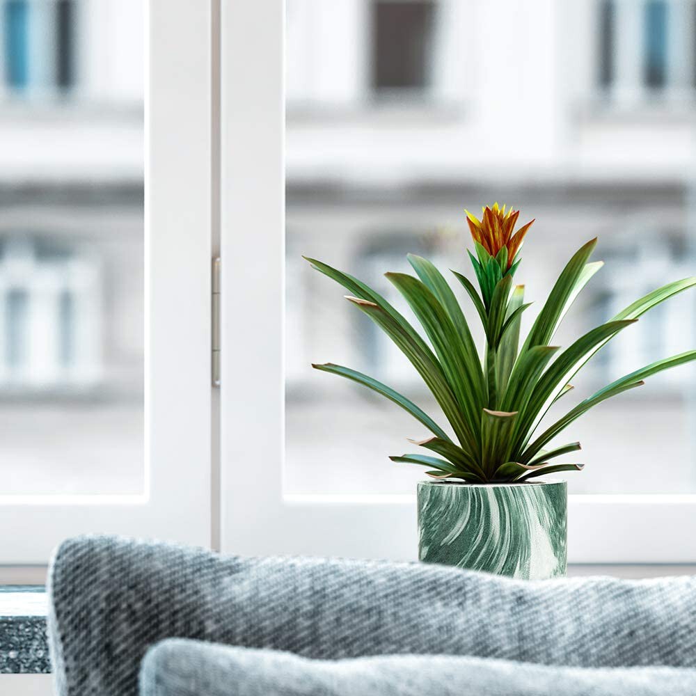 13 macetas decoradas, de interior y exterior, para que nuestras plantas ...