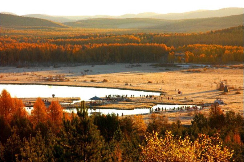 China presume de haber creado el mayor bosque artificial del mundo. En ...