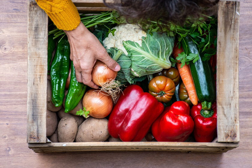 Cebolla dulce: qué es, en qué se diferencia del resto de cebollas y 14 ...