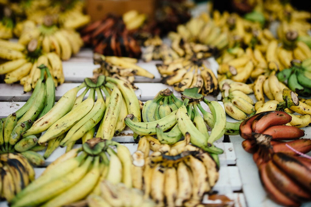 Plátano macho: qué es, propiedades y cómo utilizarlo en la cocina