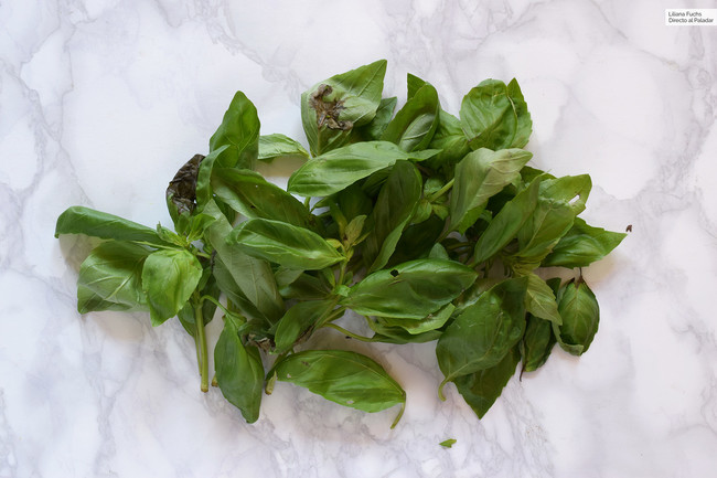 Todo sobre la albahaca, planta aromática imprescindible no solo en la ...