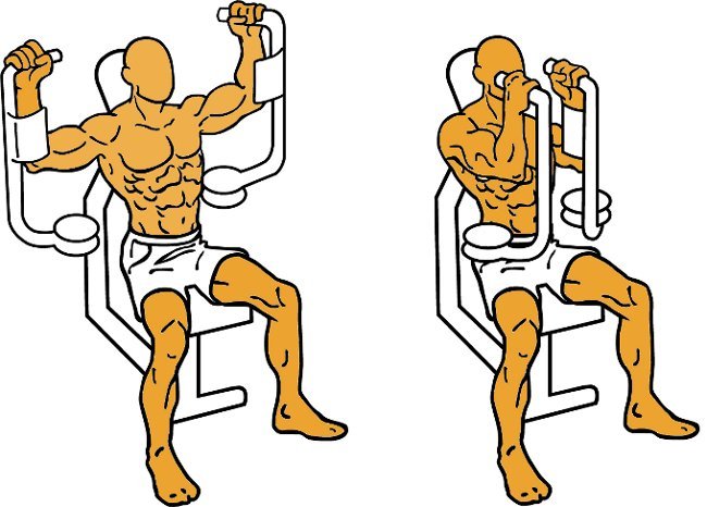 Guía para principiantes (XLVII): Aperturas en contractor de pecho