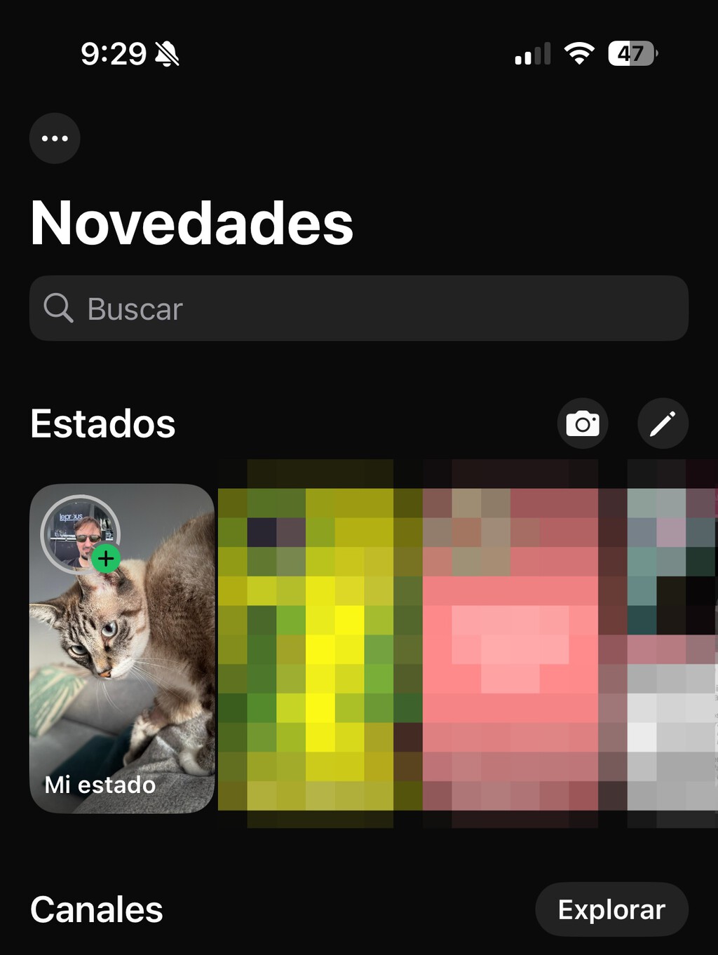 Cómo saber quién ha visto tus estados de WhatsApp