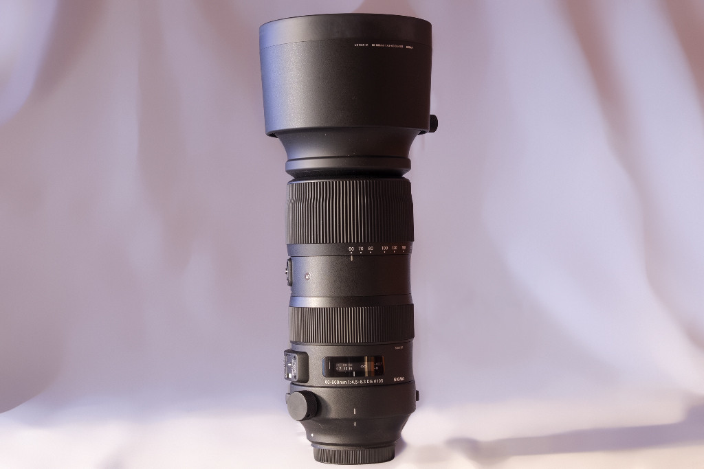 Sigma 60-600 mm f4.5-6.3 DG OS HSM Sport, análisis: un potente zoom ...