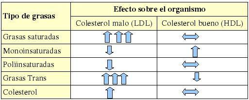 El efecto sobre el organismo de los diferentes tipos de grasas