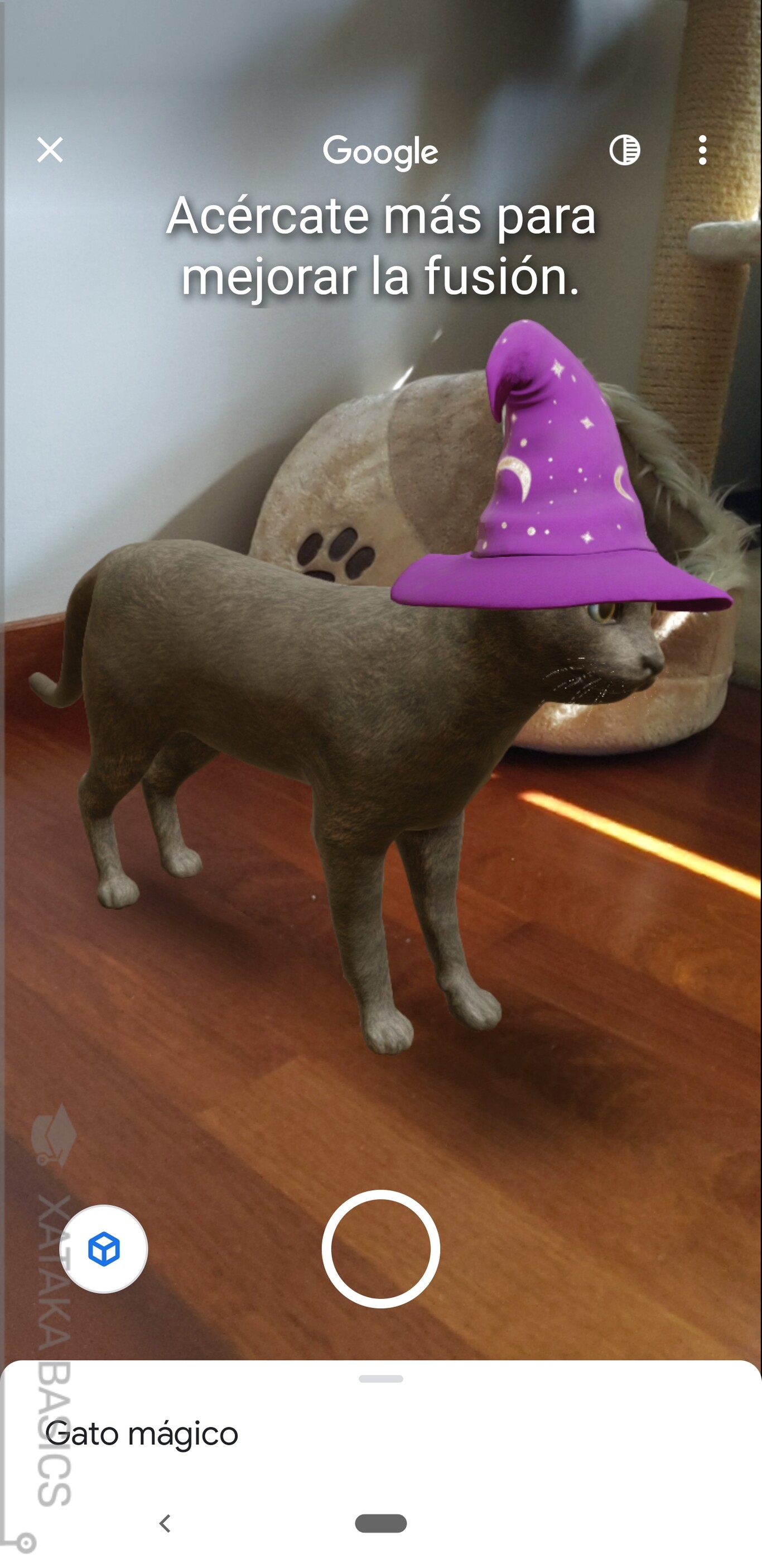 Cómo usa el gato mágico y el resto de animales de Halloween de realidad ...