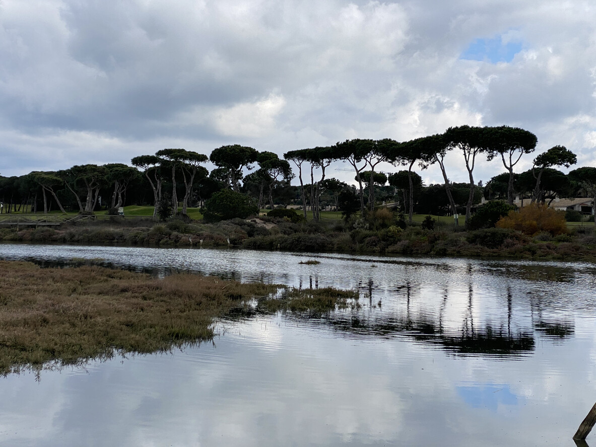 El secreto mejor guardado de Huelva es este paraje natural salvajemente ...