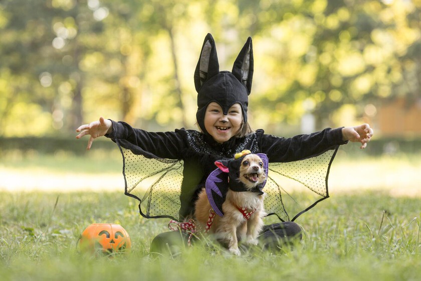 Halloween en Lidl: acaban de llegar los disfraces para perros más ...