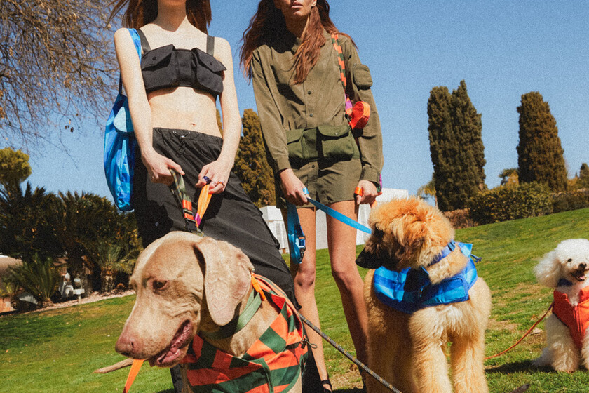 Parfois lanza una colección para perros: gorras, chubasqueros y el collar personalizable que ya ...