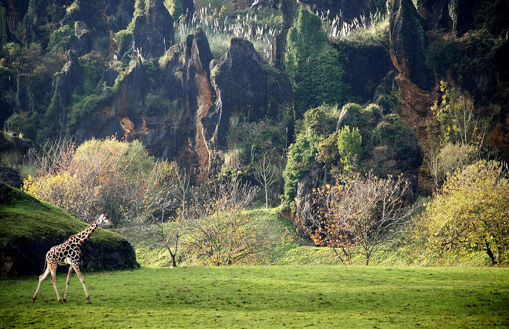 Todo lo que necesitas saber para visitar el Parque de la Naturaleza de Cabárceno: entradas ...