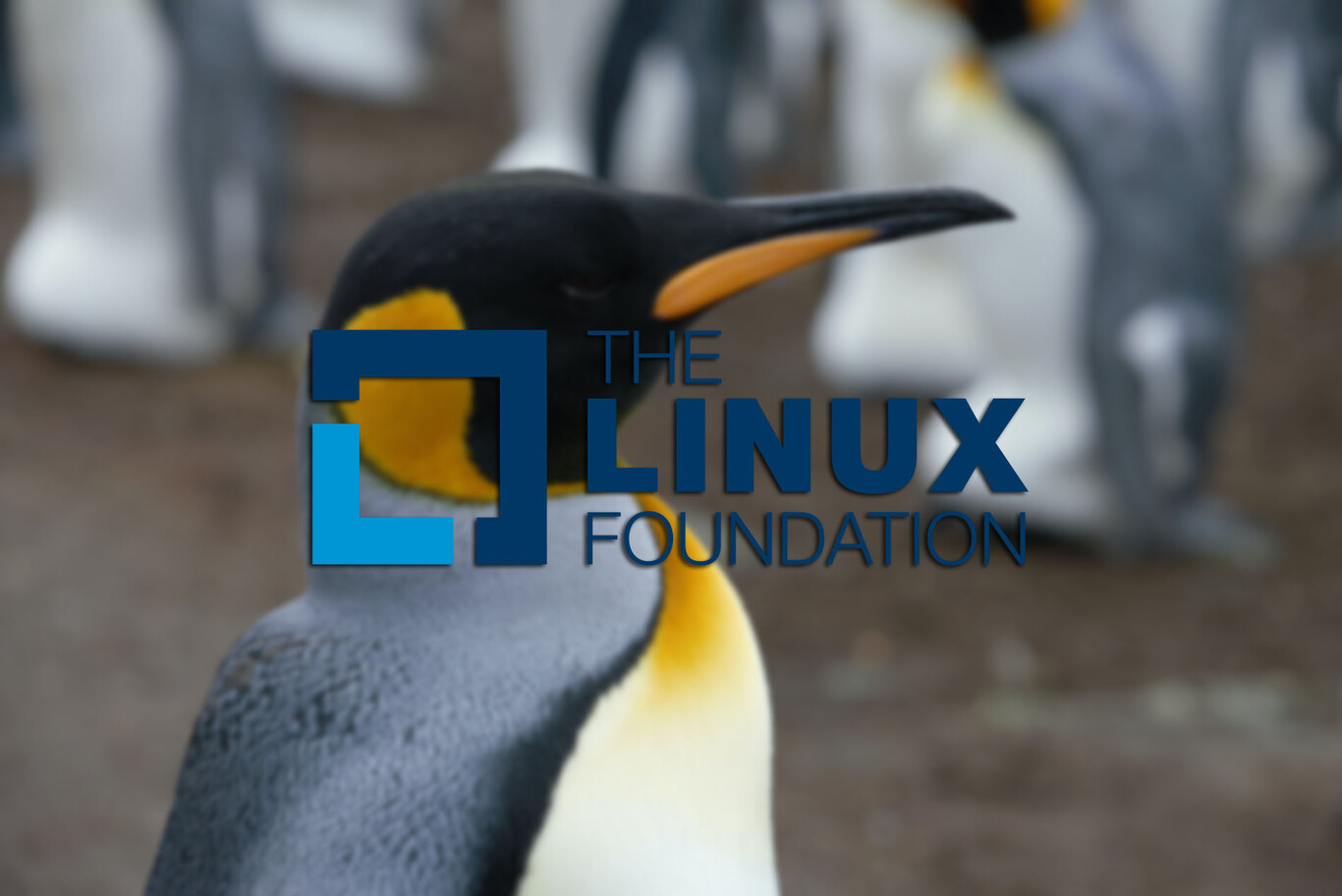 La Fundación Linux ha lanzado un curso gratis para iniciarte en el ...