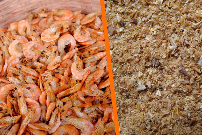 Cómo hacer tu propio polvo de camarón en casa