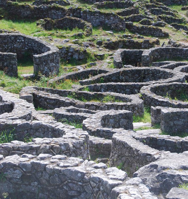Castros gallegos