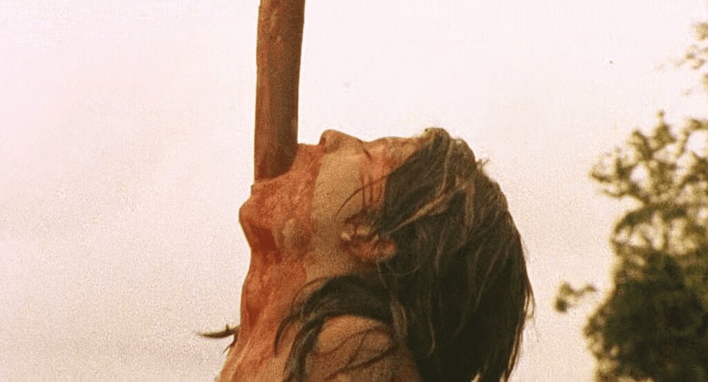 Goremanía, las 27 películas más sangrientas disponibles en streaming