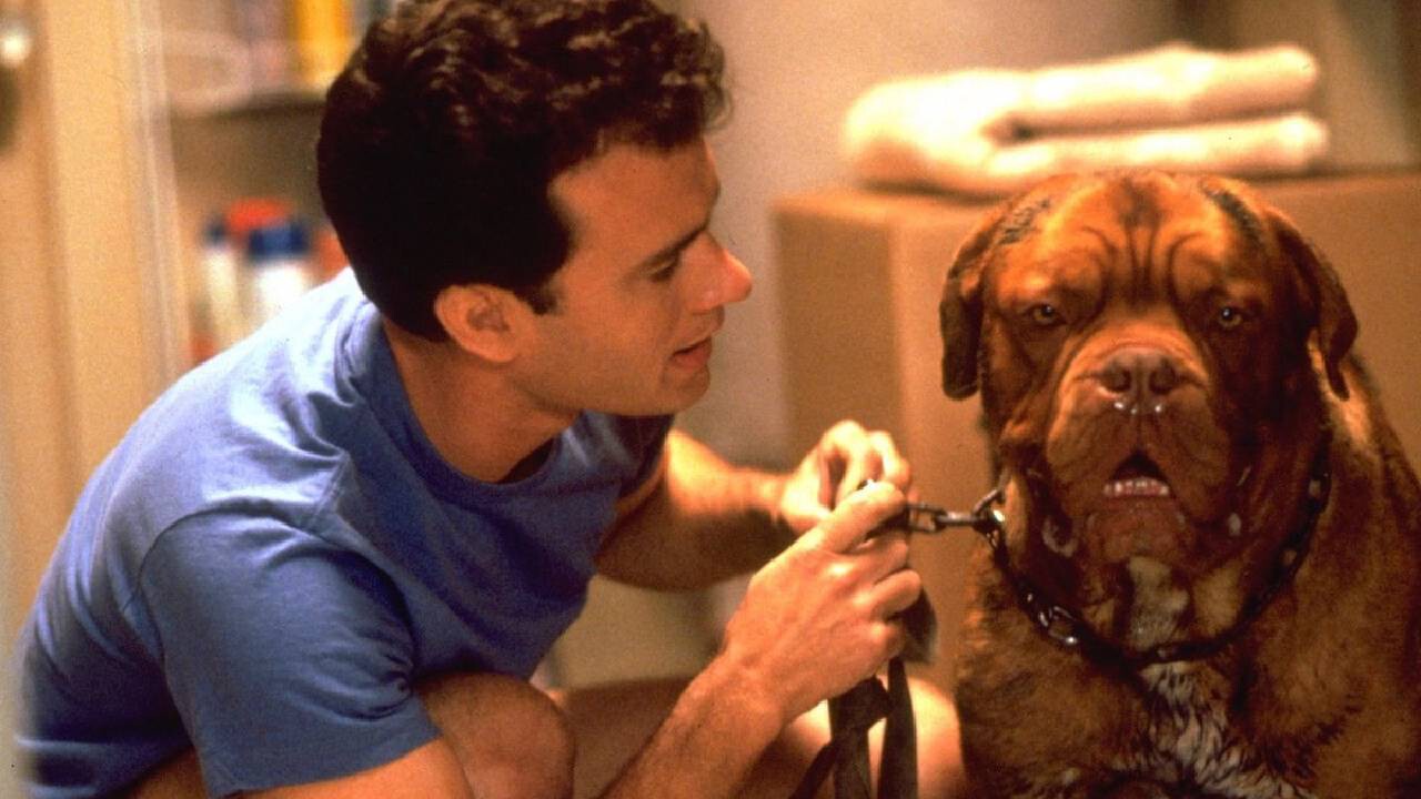 Los 10 perritos más famosos en las películas de acción (el de John Wick ...