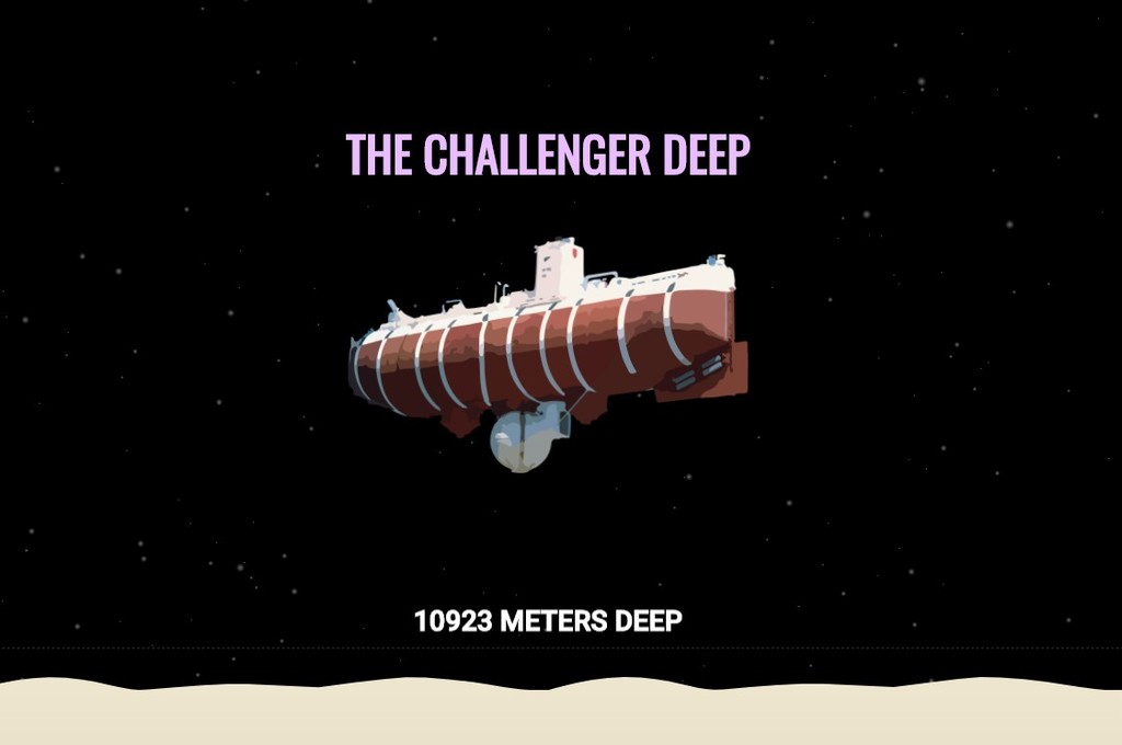 The Deep Sea: una web interactiva para explorar las profundidades el ...