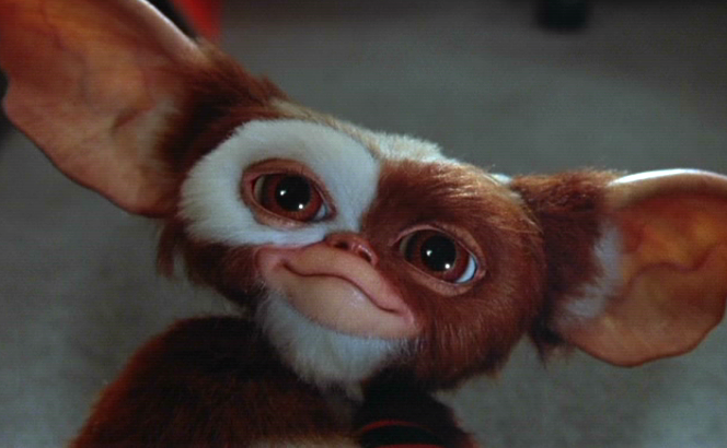 Chris Columbus ya ha terminado el guión de 'Gremlins 3': Chris Columbus ya ha terminado el guión de 'Gremlins 3':