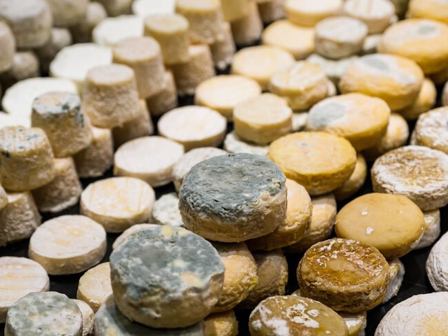 ¿Te puedes comer el queso con moho si le quitas la parte mohosa? Esto ...