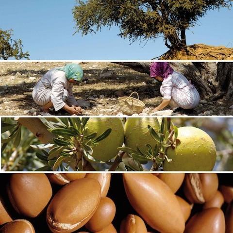 ¿Has oído hablar sobre el poder del argán? Cell Capital de Galénic ...