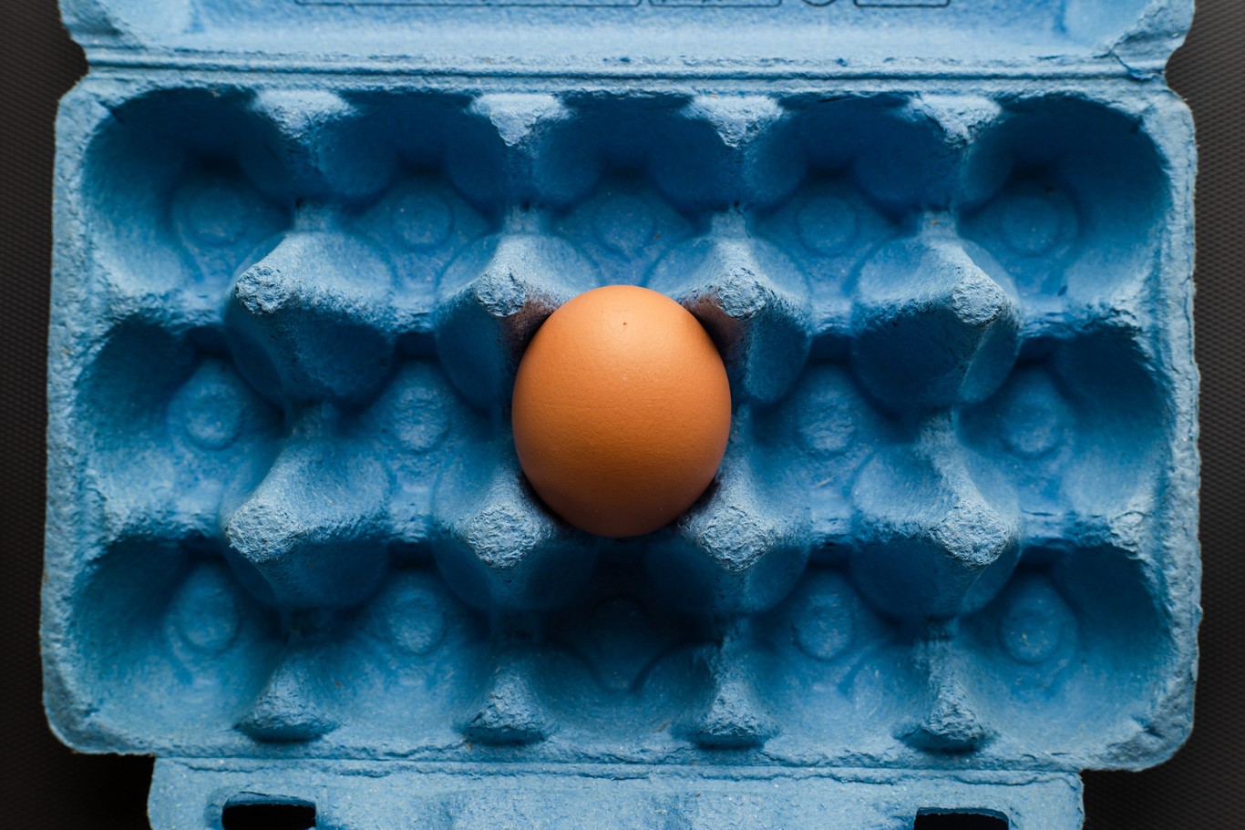 El "misterio" de los huevos de sabores: o por qué las cáscaras son algo ...