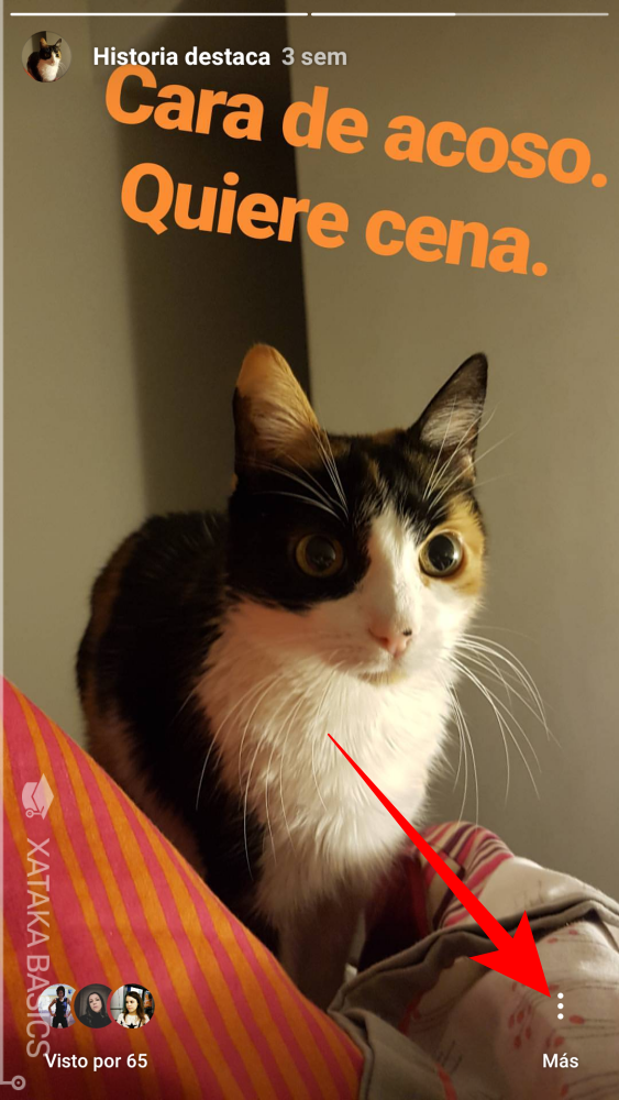 Cómo configurar tus historias destacadas en Instagram