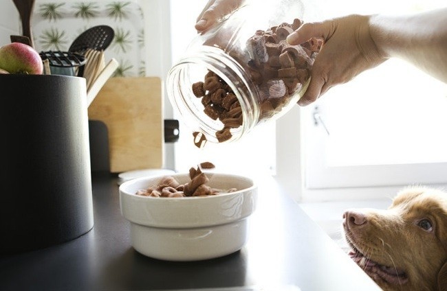 Neroko, estilo escandinavo en muebles y accesorios para tus mascotas