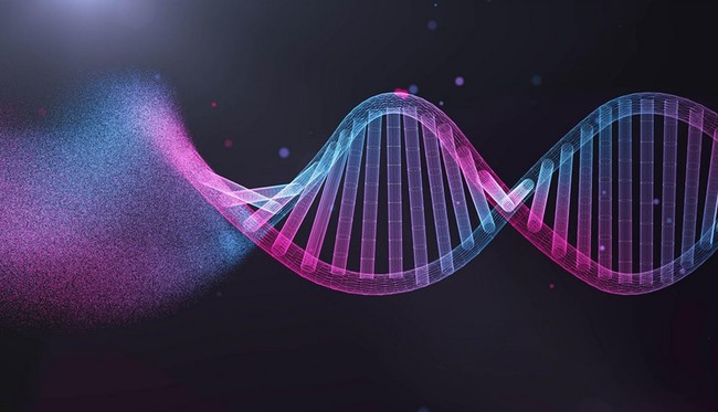 La comunidad científica cambia el nombre de 27 genes del ADN: Excel no ...