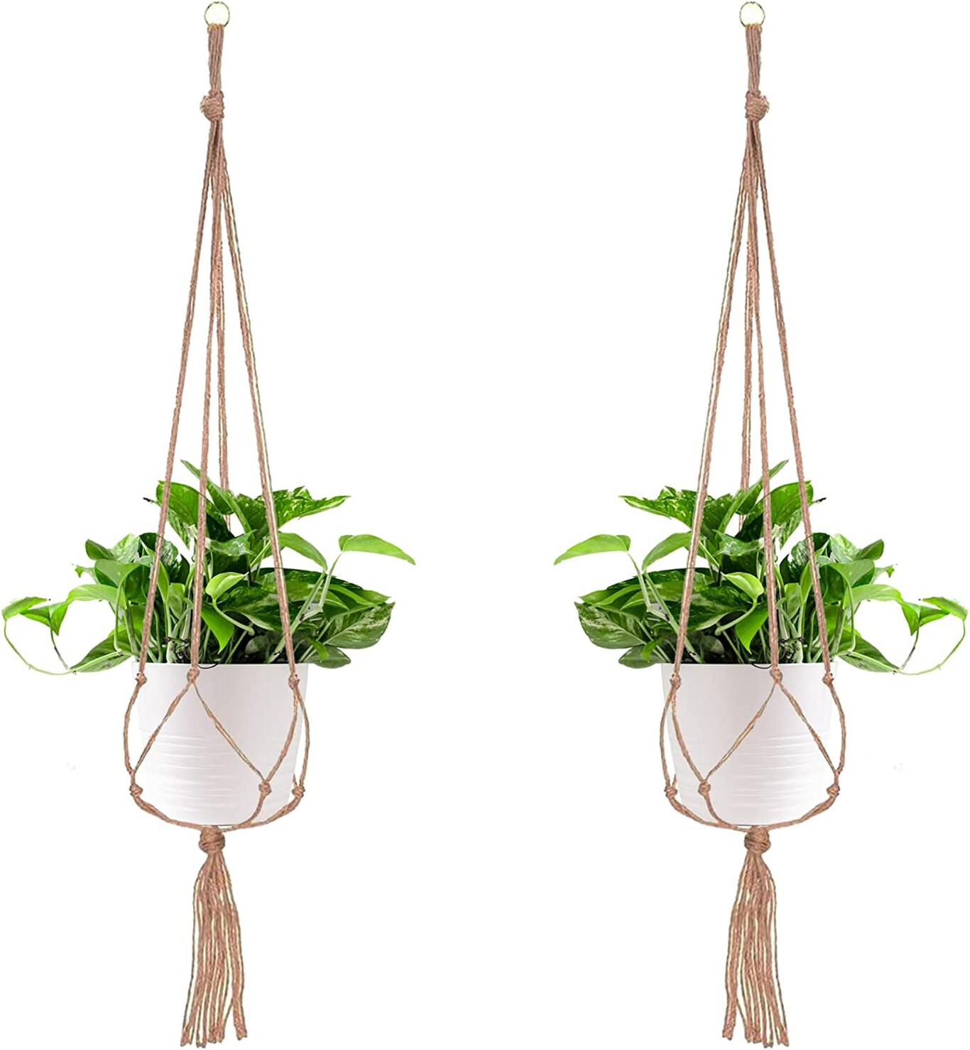 Cinco maceteros colgantes para que tus plantas de interior den vida a ...